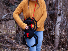 Spider Crossbody Bag Pattern – Brookes Imaginings